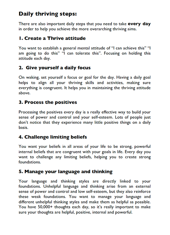 The Thrive Programme Journal – The Thrive Programme Shop